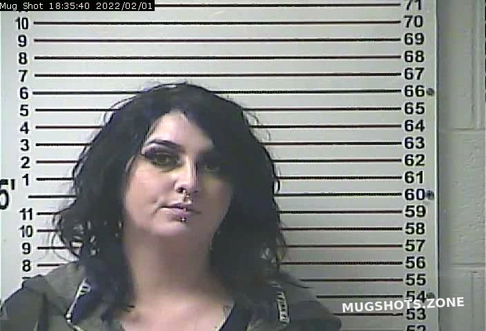 SNYDER HAILEY RENEE 02/01/2022 - Hardin County Mugshots Zone