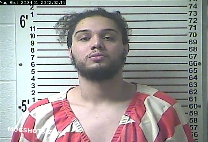 SHEDD-CLARK DONOVAN JAMES 02/11/2022 - Hardin County Mugshots Zone