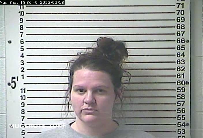 LANEY KRISTEN NICOLE 02/18/2022 - Hardin County Mugshots Zone