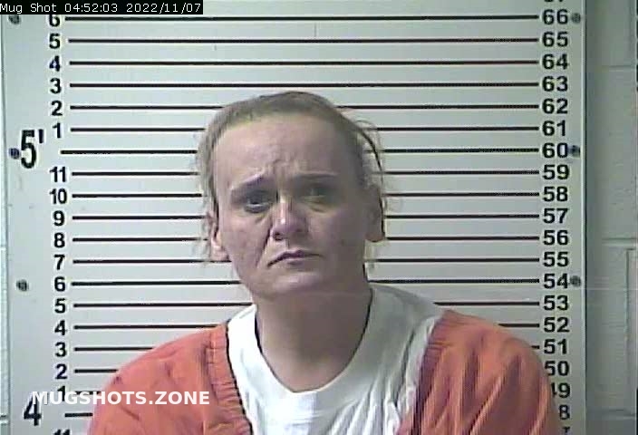 FIELDS LISA GAIL 11/07/2022 - Hardin County Mugshots Zone