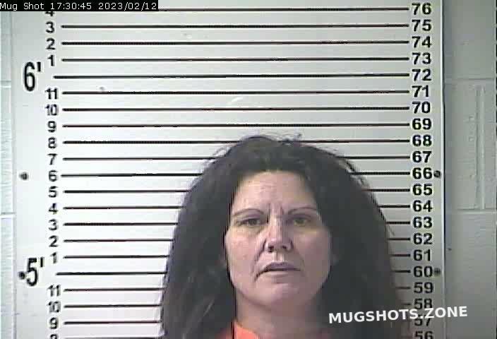 REESOR JILL SUZANNE 02/14/2023 - Hardin County Mugshots Zone