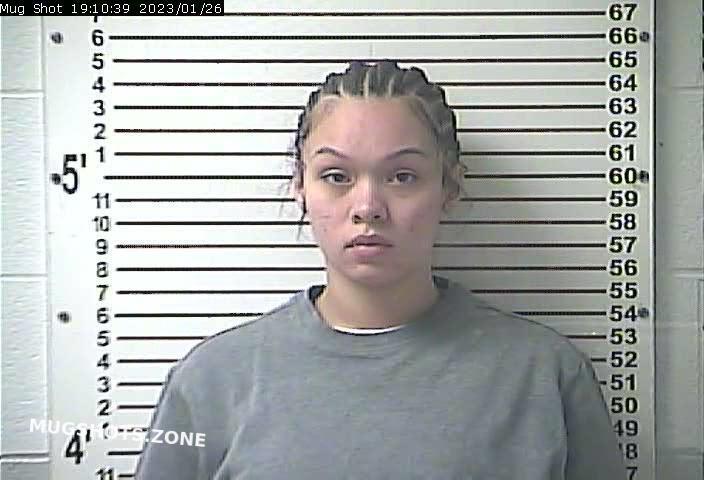 WOODS HAILEY ALEXIS 04/06/2023 - Hardin County Mugshots Zone