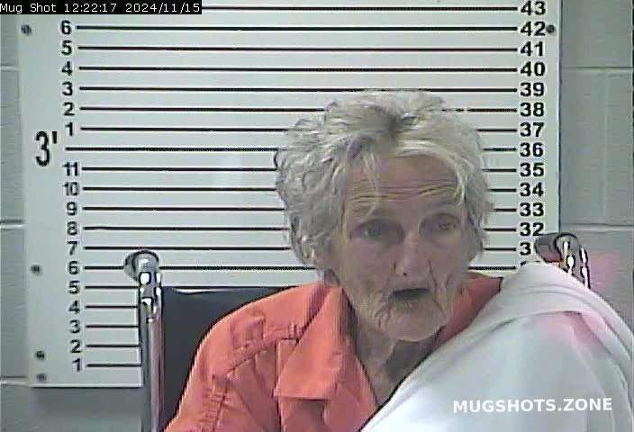 ADAMSON CONSTANCE SUE 11/15/2024 - Hardin County Mugshots Zone