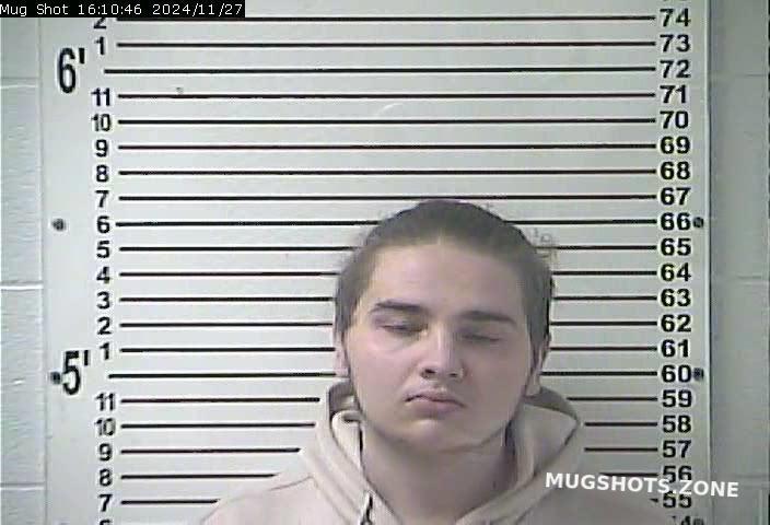 ZARLING JUSTIN ALEXANDER 11/27/2024 - Hardin County Mugshots Zone