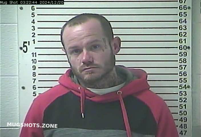 STALLINS DAVID LEROY II 12/20/2024 - Hardin County Mugshots Zone