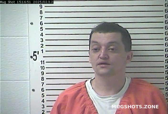 DELIC NASER NMN 02/12/2025 - Hardin County Mugshots Zone