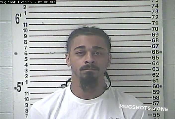 WILLIAMS KAMERON DEVON 03/07/2025 - Hardin County Mugshots Zone