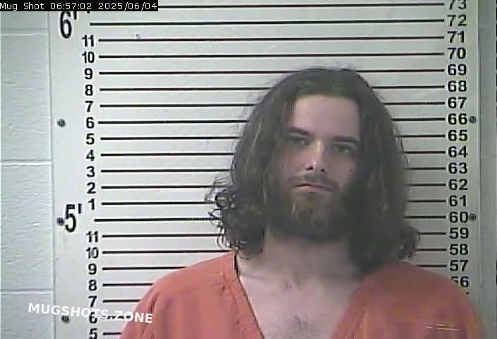 SINES KAMERON LEE 06/04/2025 - Hardin County Mugshots Zone