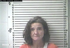 HIRSCH JACQUELINE FRANCINE 11/15/2025 - Hardin County Mugshots Zone