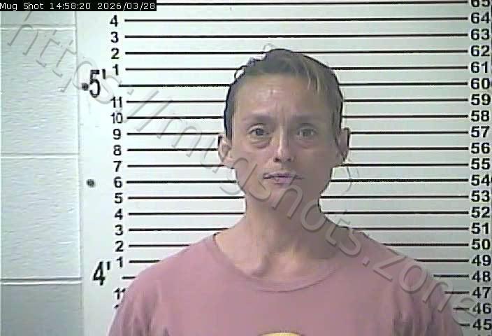 LOWE LISA TODD 03/28/2026 - Hardin County Mugshots Zone