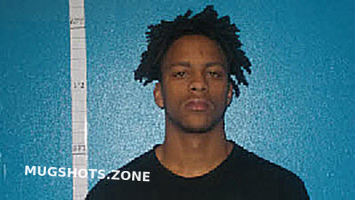 WILLIAMS CLINTON RAY 01/17/2025 - Hardin County Mugshots Zone
