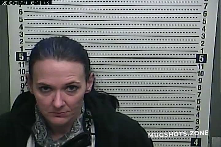 HARP MICHELLE 02/26/2021 - Harlan County Mugshots Zone