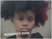 FIELDS CHANTEL 01/31/2024 - Harnett County Mugshots Zone