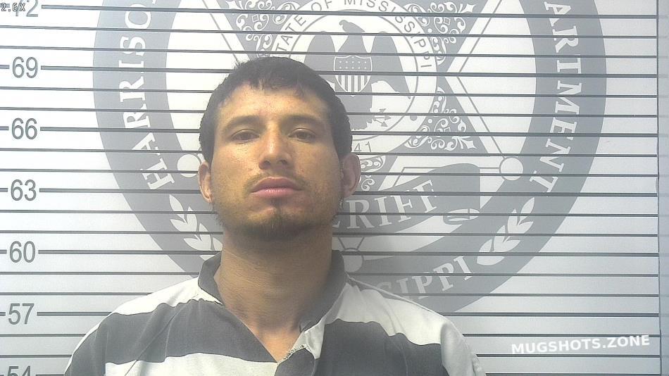PETERSON TERRANCE JOSEPH 12/02/2022 - Harrison County Mugshots Zone