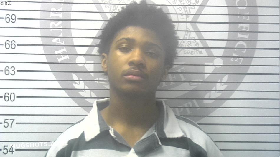 REED MARTAISA LEE 07/10/2023 - Harrison County Mugshots Zone