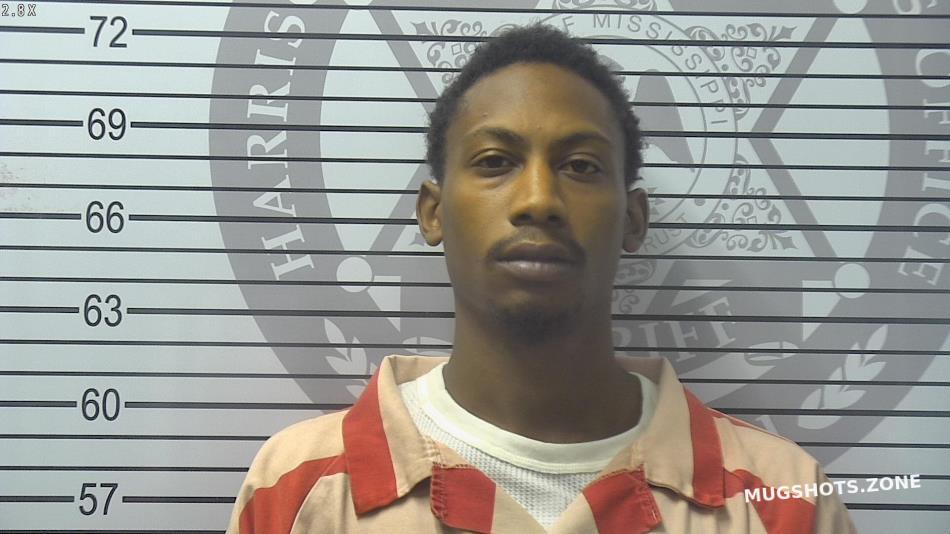 MARTIN PAUL RAVIN 11/21/2024 - Harrison County Mugshots Zone