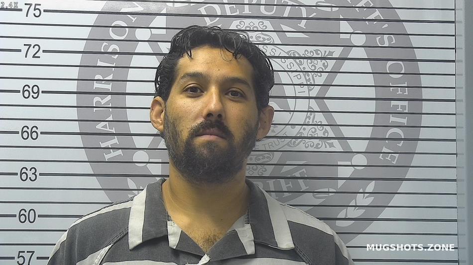 COSTELLO RICKY ROBERT 12/27/2024 - Harrison County Mugshots Zone