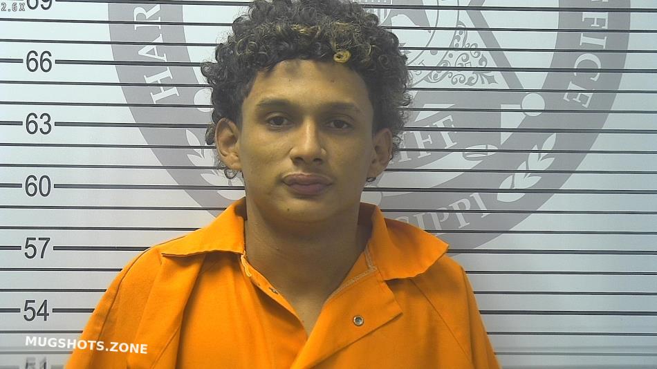 HERRERA-ESCOTO JONATHAN ALEXANDER 01/19/2025 - Harrison County Mugshots ...