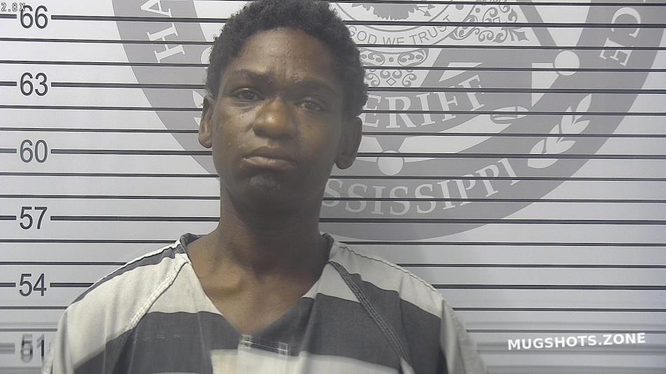 Young Davina Lynn 03 14 2025 Harrison County Mugshots Zone