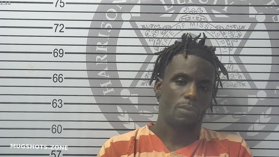 WILLIAMS JAMES ERICK 03/28/2025 - Harrison County Mugshots Zone