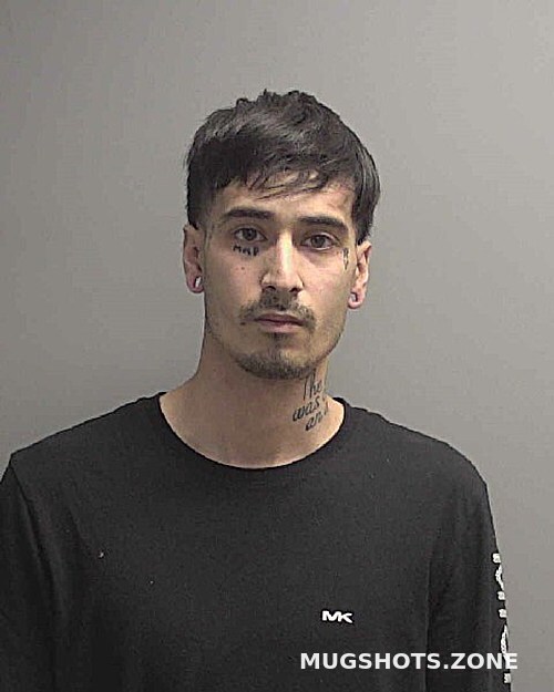 PALOMO JOSEPH JOELL 01/19/2021 - Harris County Mugshots Zone
