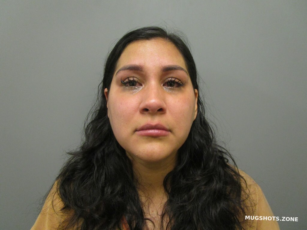 FLORES MARIA FERNANDA 07/24/2021 - Harris County Mugshots Zone