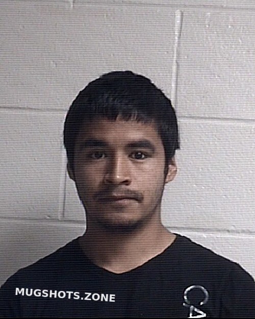 ROSAS DE LA ROSA JULIO ANGEL 10/20/2021 - Harris County Mugshots Zone