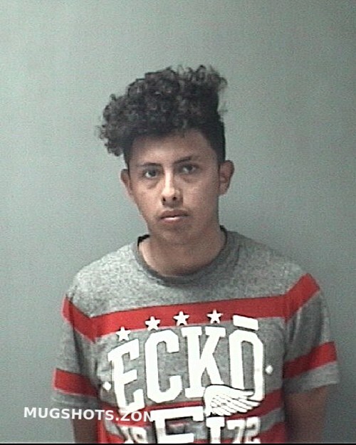 ASENCIO EDWIN FERNANDO 03/20/2022 - Harris County Mugshots Zone