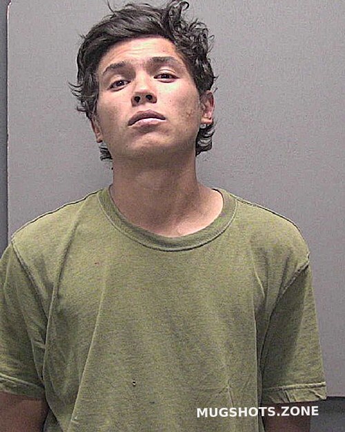 CALVILLO JESSE JAMES 06/08/2022 - Harris County Mugshots Zone