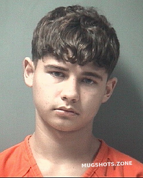 ALFARO ETHAN JOSEPH 06/11/2022 - Harris County Mugshots Zone