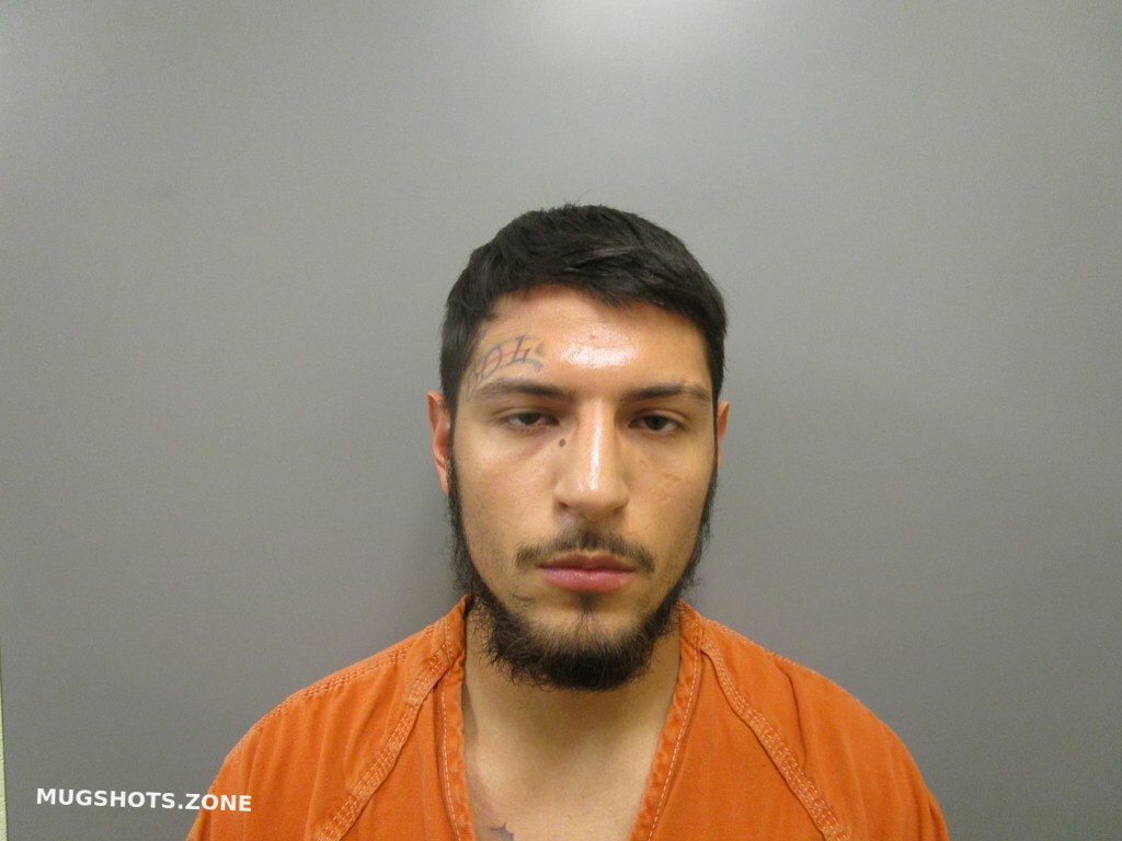 PENA CARLOS ROMAN 06/16/2022 - Harris County Mugshots Zone