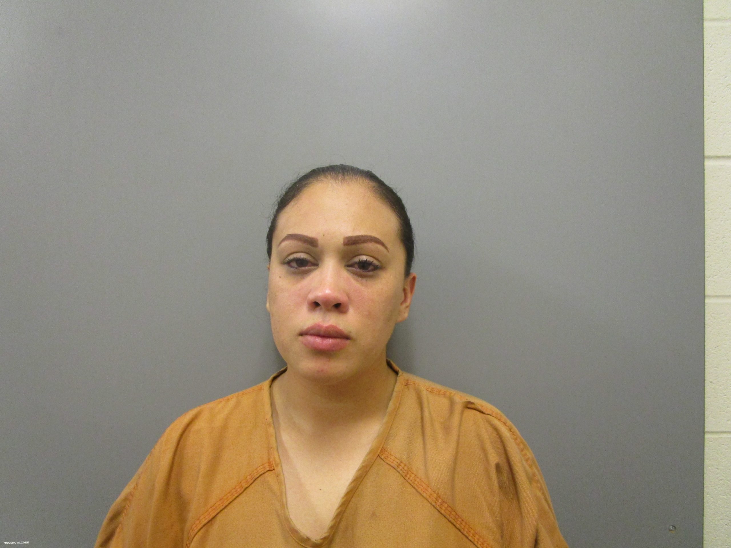 CASTILLO MICHELLE PORTILLO 07/21/2022 - Harris County Mugshots Zone
