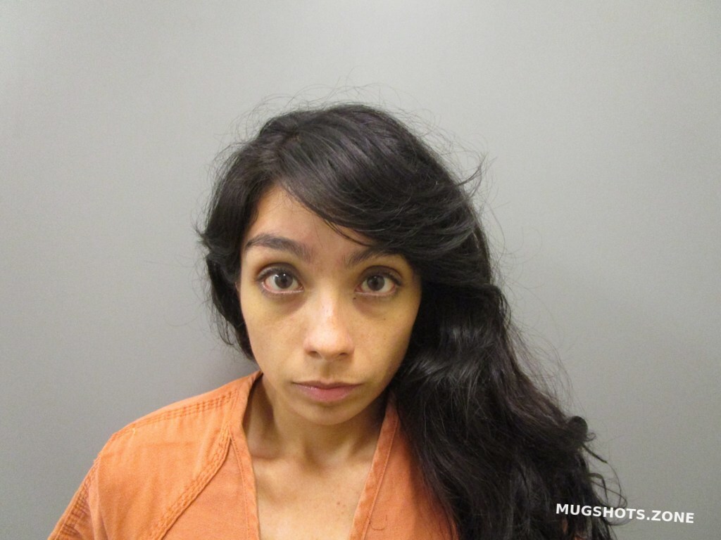 MANESS COURTNEY RENEE 07/24/2022 - Harris County Mugshots Zone