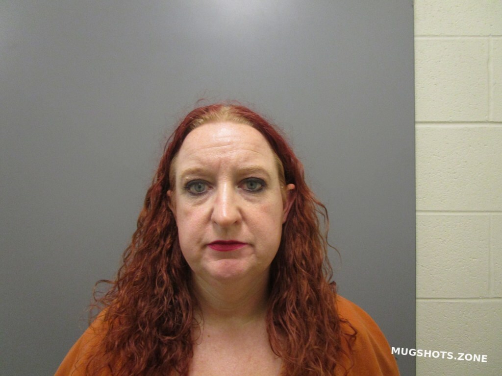 DAVIS DIANNA MICHELLE 08/17/2022 - Harris County Mugshots Zone