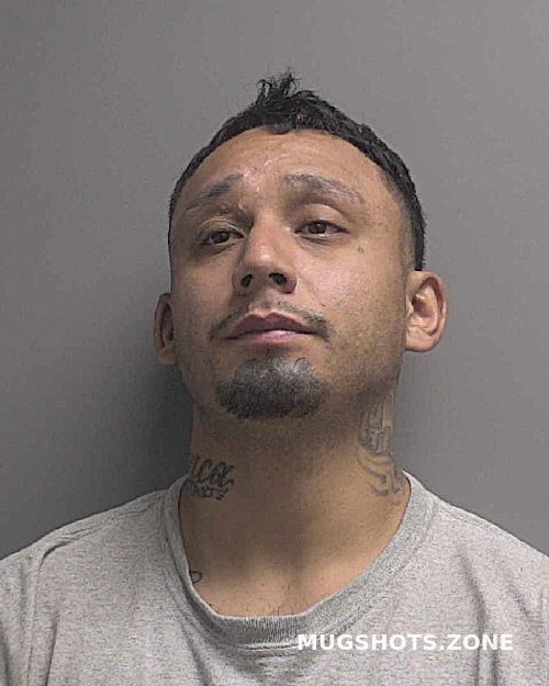 Gaytan Adrian David 09 09 2022 Harris County Mugshots Zone