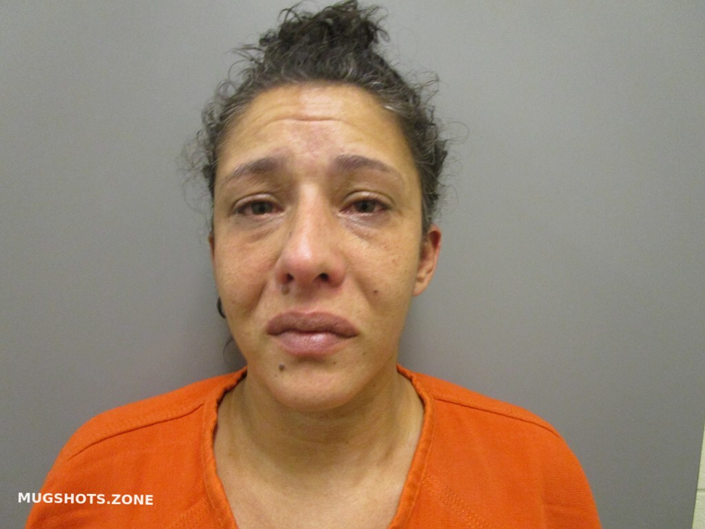 ESZTERGALYOS NATASHA ANN 09/13/2022 - Harris County Mugshots Zone