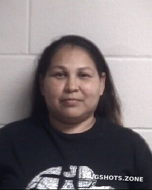 FERNANDEZ STACY MARIE 12/03/2022 - Harris County Mugshots Zone