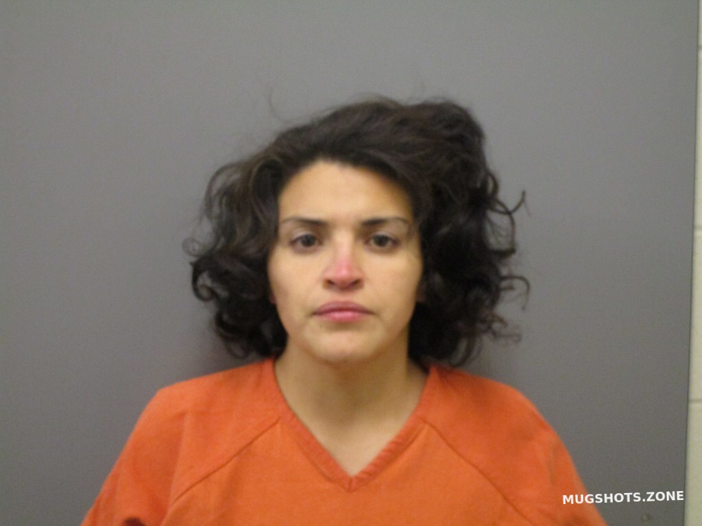 AMARO MARIA ELIZABETH 01/21/2023 - Harris County Mugshots Zone