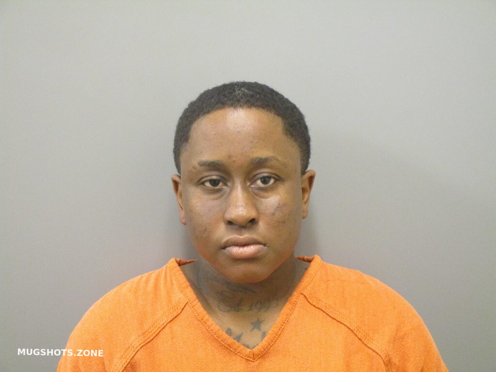 SIMMONS ALEXIS BRIANA 02/13/2023 - Harris County Mugshots Zone