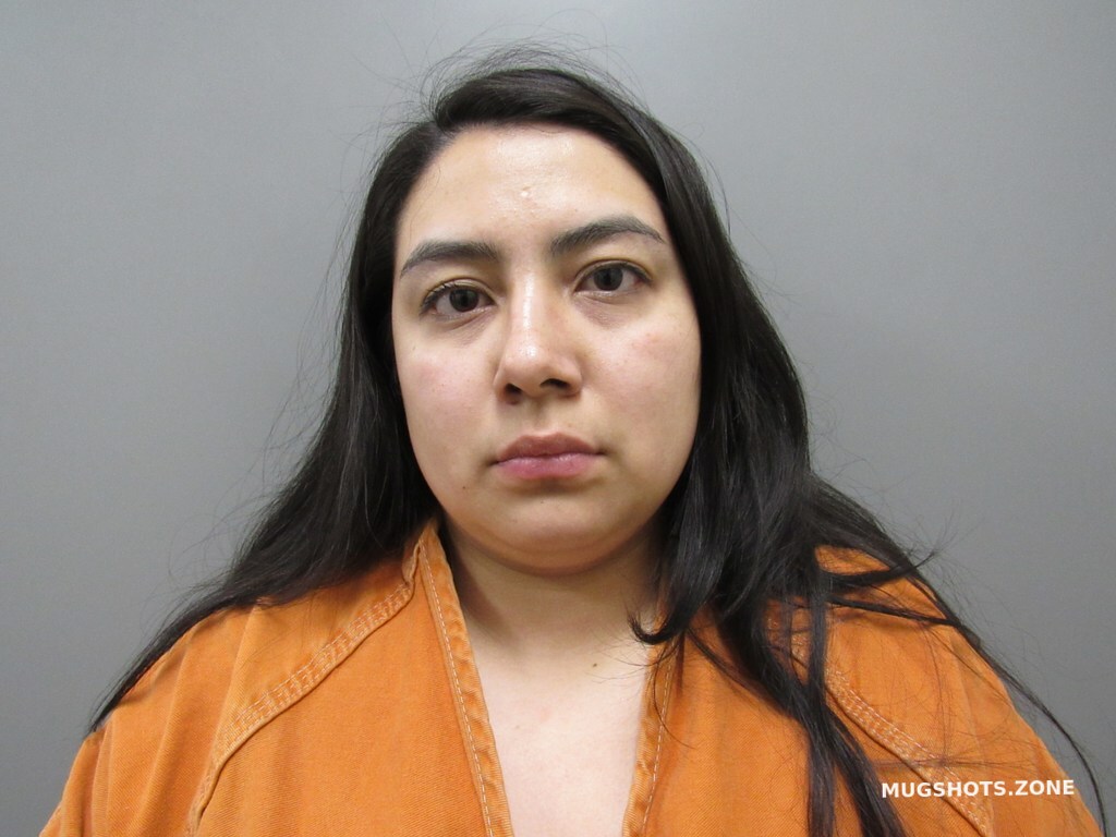 ALANIS NEILY ALEXIS 04/24/2023 - Harris County Mugshots Zone