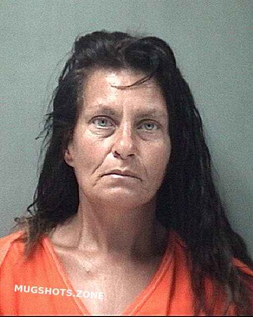 ALLNET SUSAN 06/12/2023 - Harris County Mugshots Zone