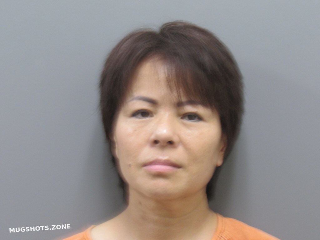 JOHNCOCK AMY SHIH 09/09/2023 - Harris County Mugshots Zone