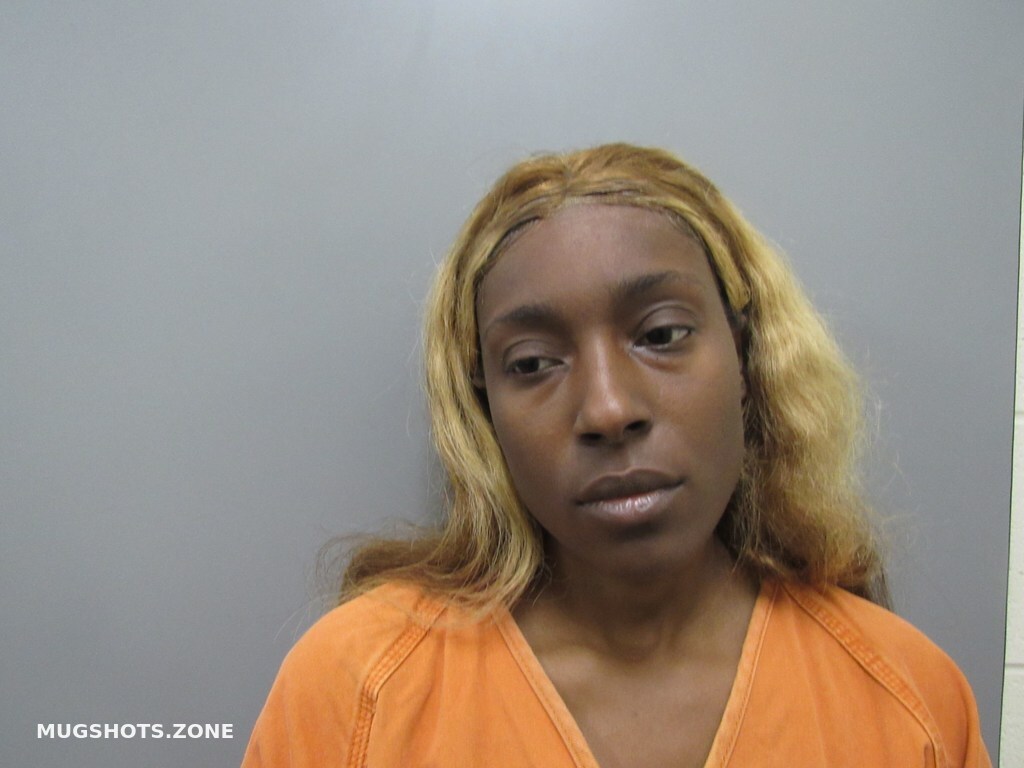 SIMMONS BRITTANY RODRAE 11/29/2023 - Harris County Mugshots Zone