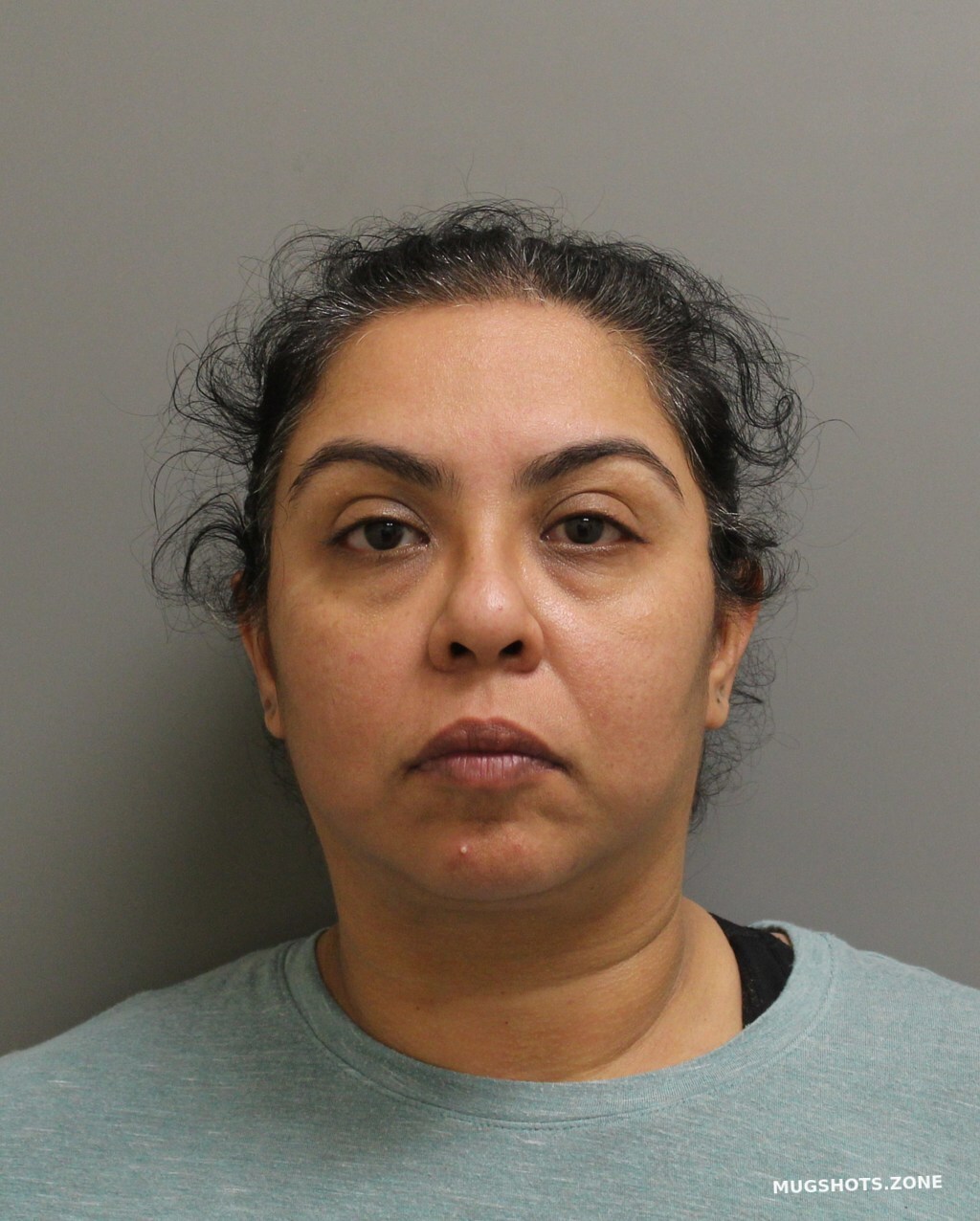 CALDERON CHRISTINA ERICA 12/26/2023 - Harris County Mugshots Zone