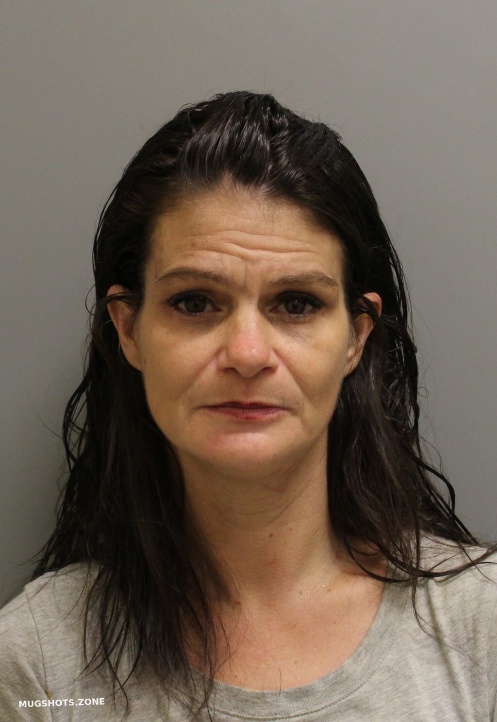 TOWNSEND MICHELLE RENEA 01/10/2024 - Harris County Mugshots Zone
