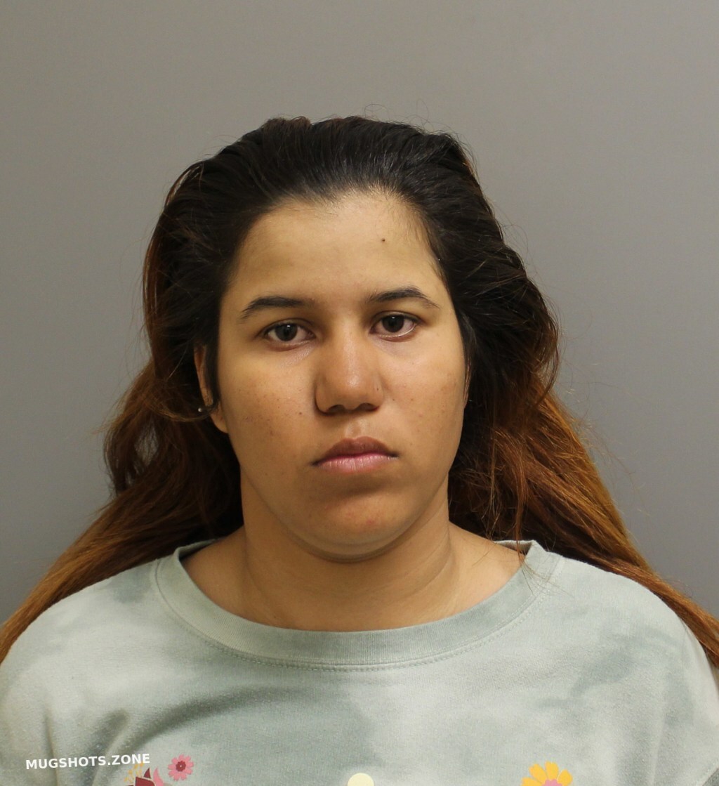 PARRIS JAHSHEYLIS ELILA 01/13/2024 - Harris County Mugshots Zone
