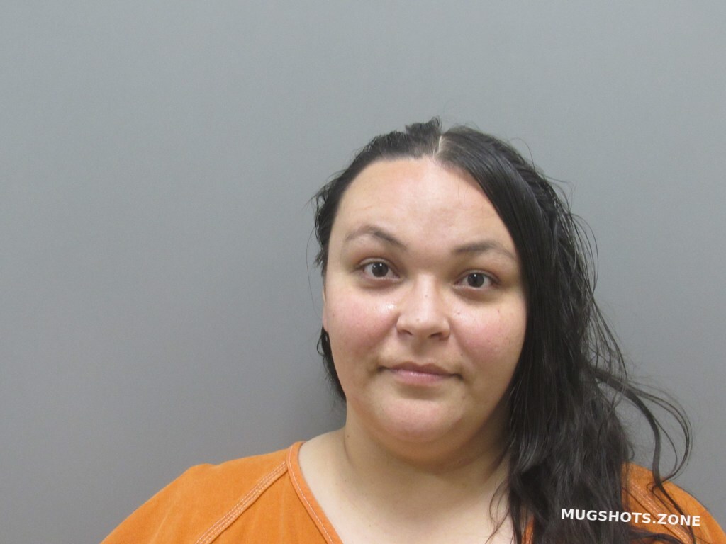 HRACHOVINA ELIZABETH MONIQUE 03/03/2024 - Harris County Mugshots Zone