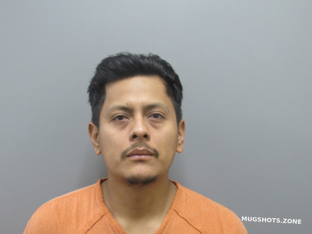 HERNANDEZ LUIS ENRIQUE 03/09/2024 - Harris County Mugshots Zone