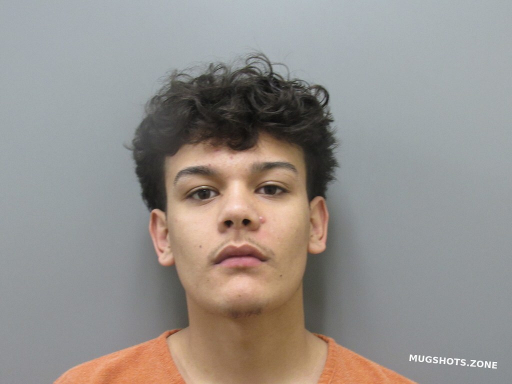 ANGUIANO SEAN MATEO 03/13/2024 - Harris County Mugshots Zone