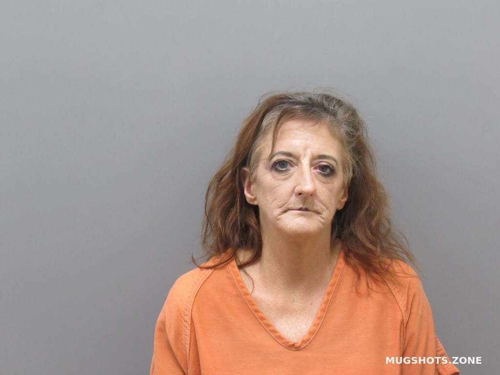 COMSTOCK ANNE FRANCES 03/21/2024 - Harris County Mugshots Zone